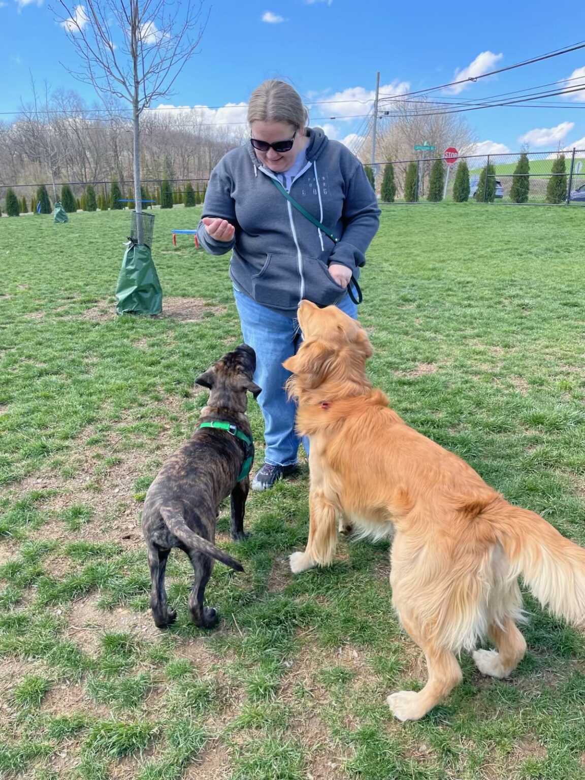 Meet the trainer, Kailly! – Cold Nose Lodge